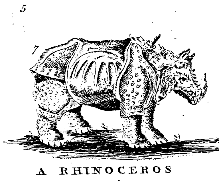 The Myth of the Rhinoceros - The Gale Review