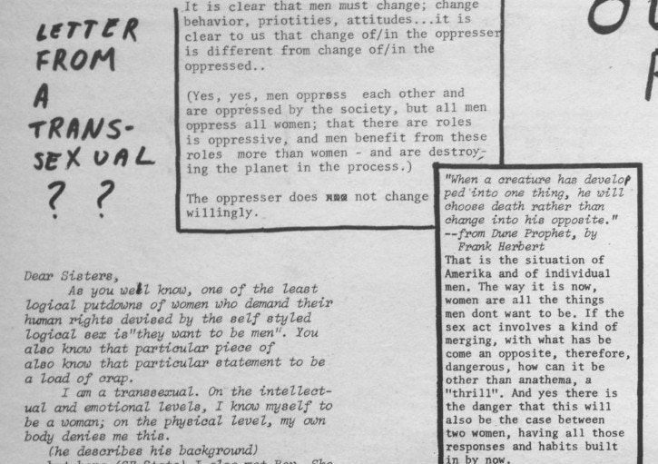 It’s Time to Share the Spotlight: Exploration of Trans Visibility Over ...